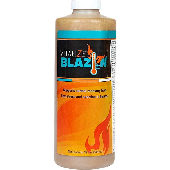 VITALIZE Blazin - Horse Heat Stress & Exertion Recovery - Promotes Hyd